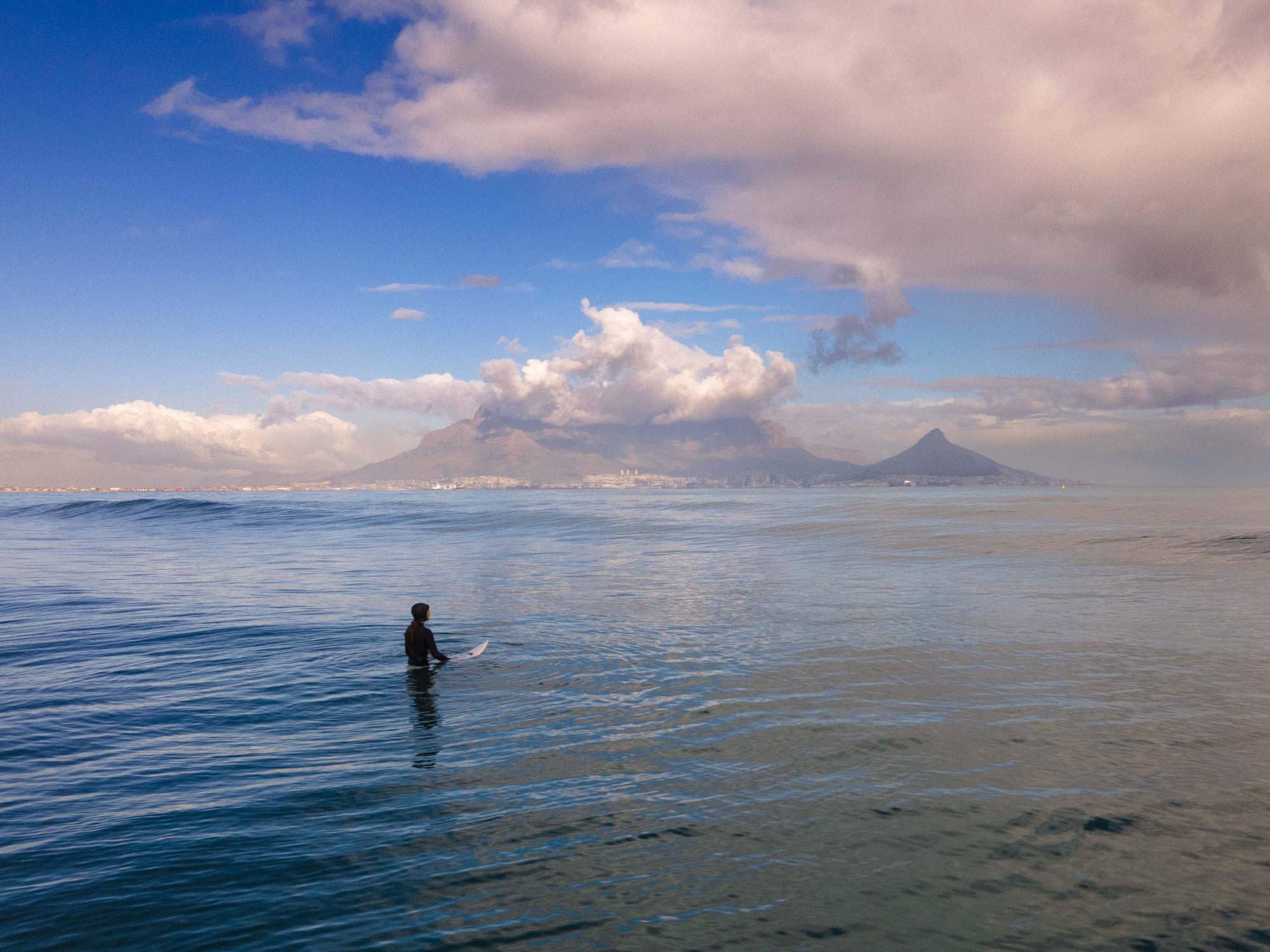 About Us – Pollywog